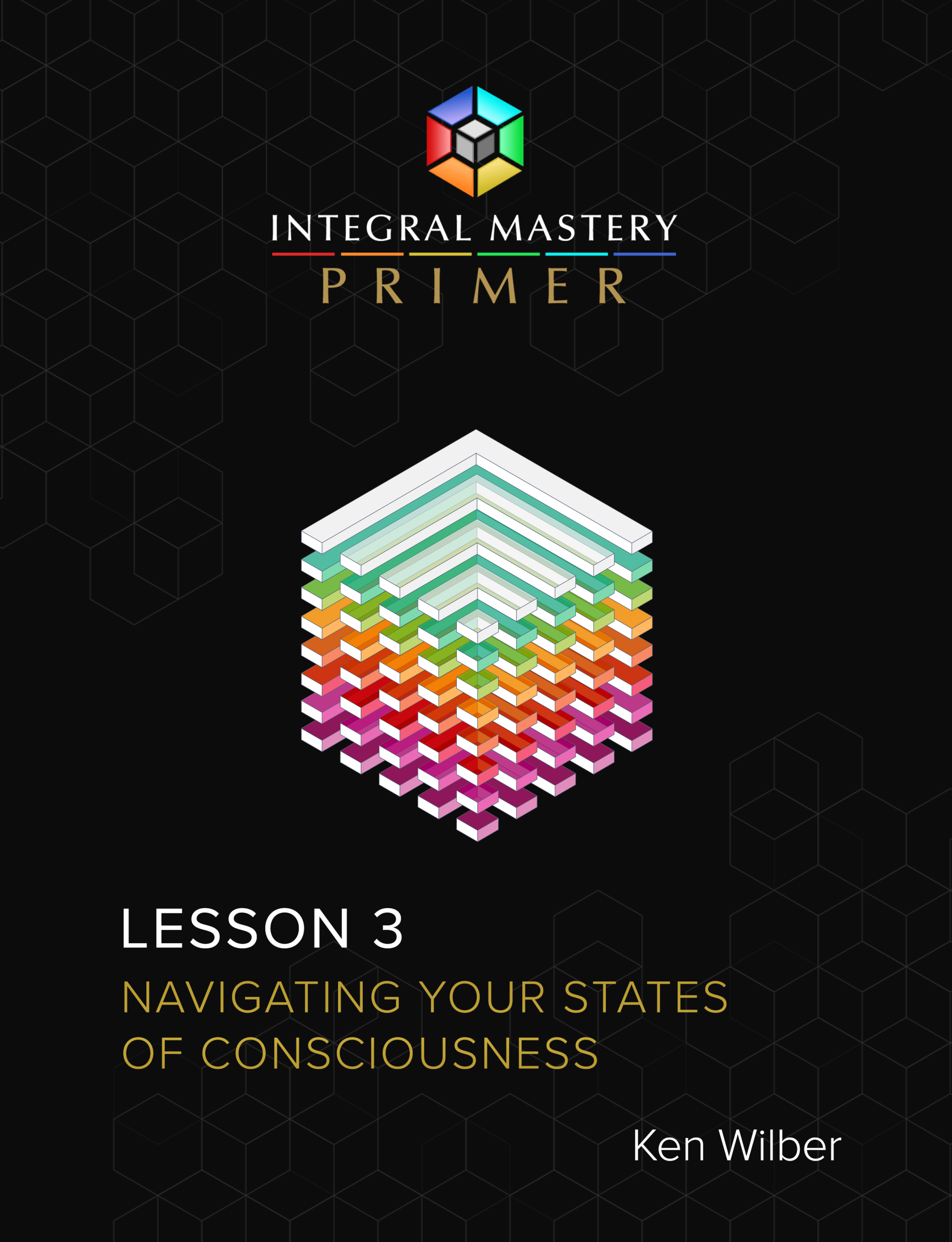 Lesson 3 | Navigating Your States of Consciousness – Integral Mastery